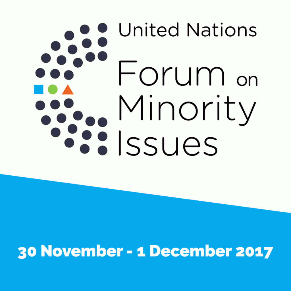 Minority youth to call for inclusive and diverse societies - EUROPEAN ...